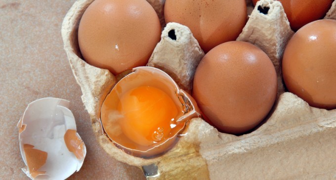 The 10 Commandments Of Food Safety: Are You Following These Important ...