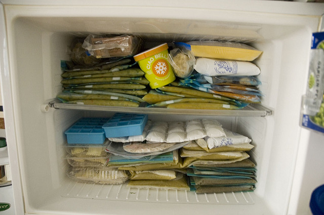 Kitchen Survival: Freezer Hacks That Will Save Everyone Time | Recipe ...